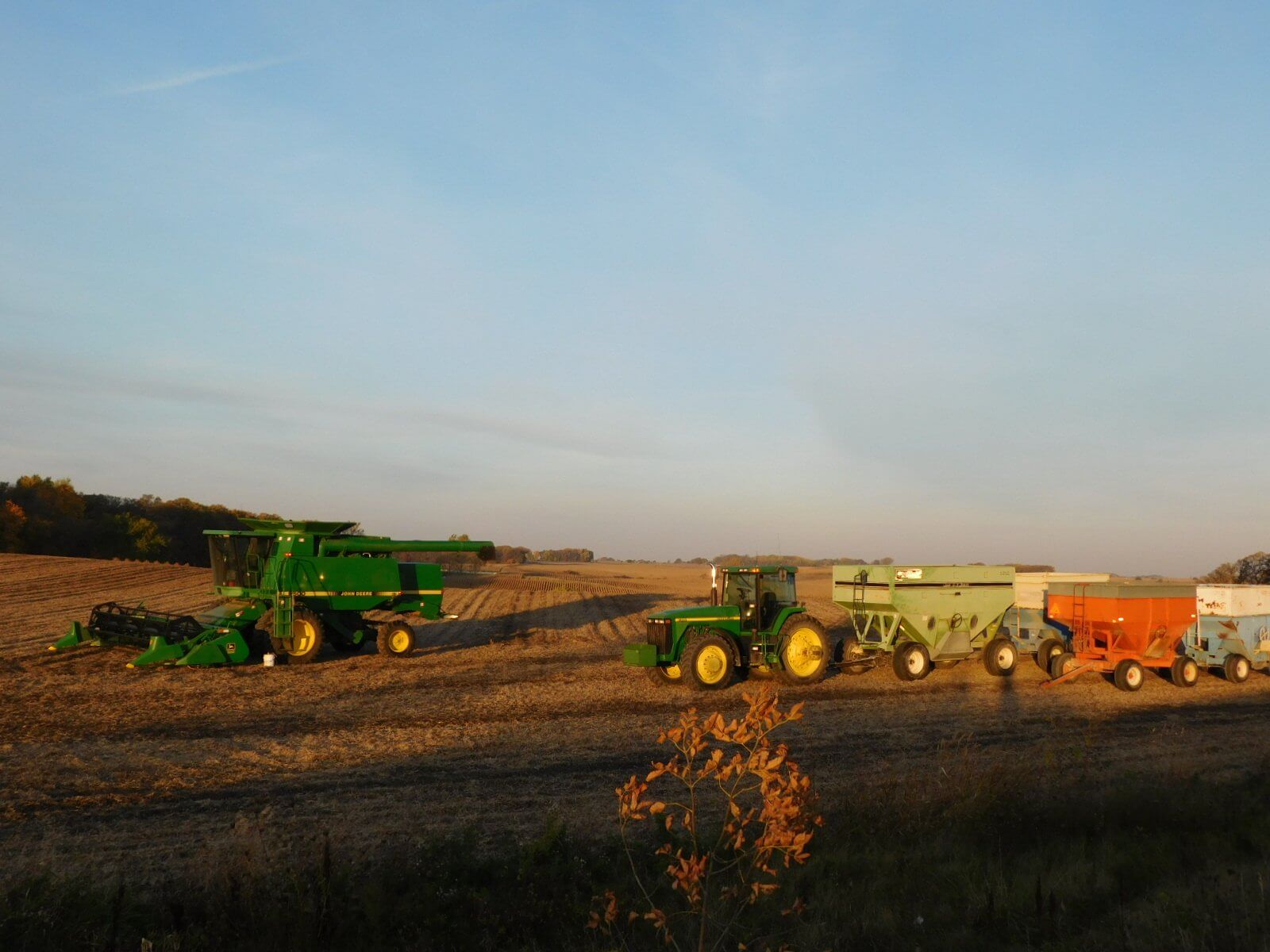 2017 Fall Harvest and Reflections by Family Farm Advocate Sarah Willis